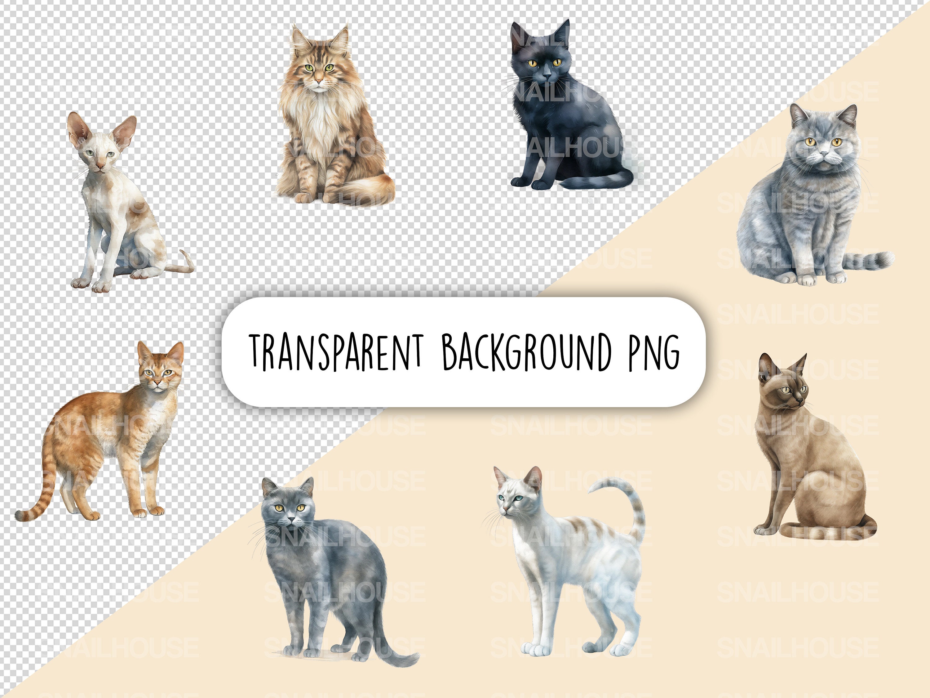 Watercolor Cat Clipart Digital Printable Cat Breeds Clipart FREE ...