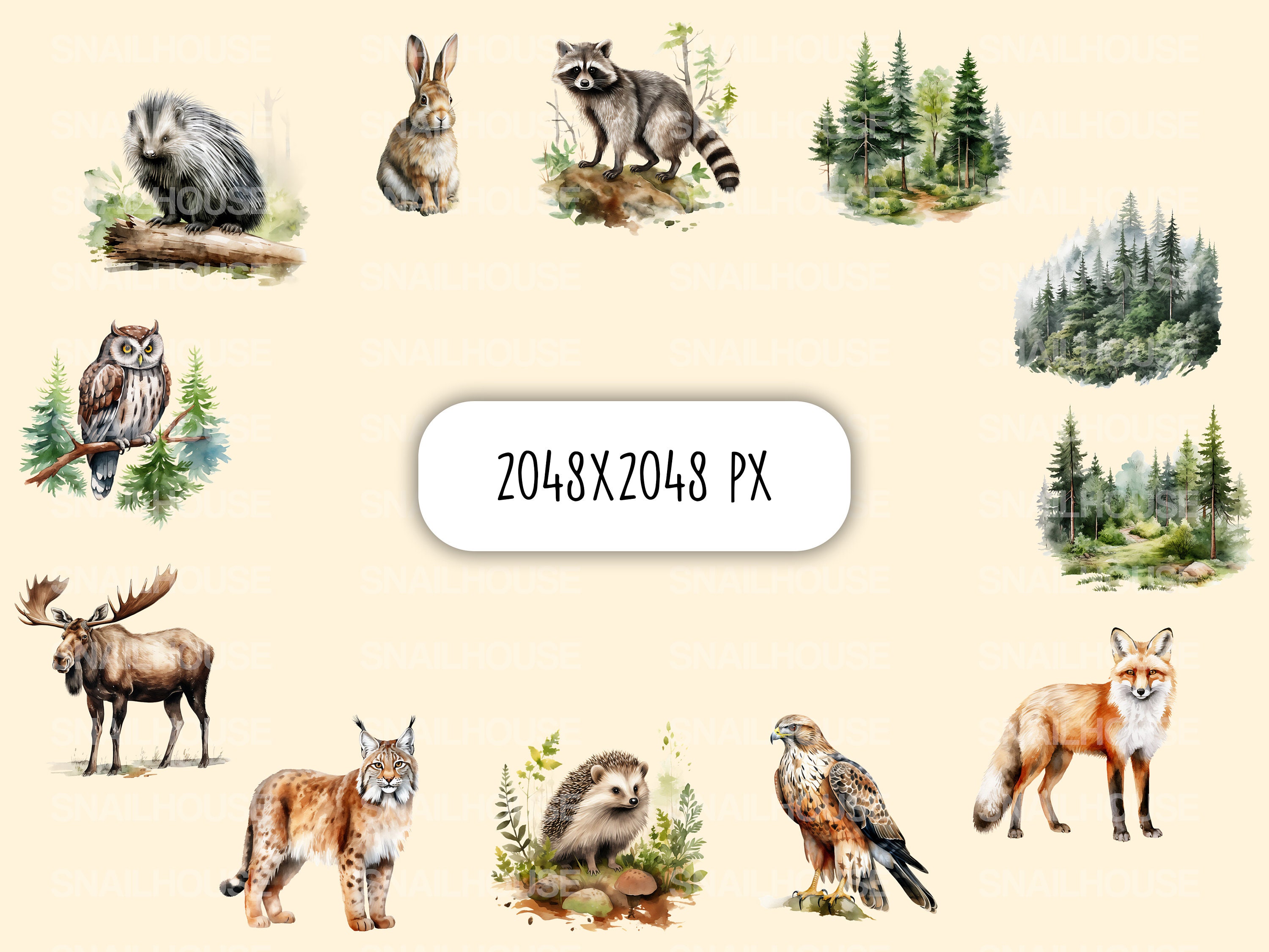 Watercolor Forest Animals Clipart Bundle FREE Commercial Use Digital ...