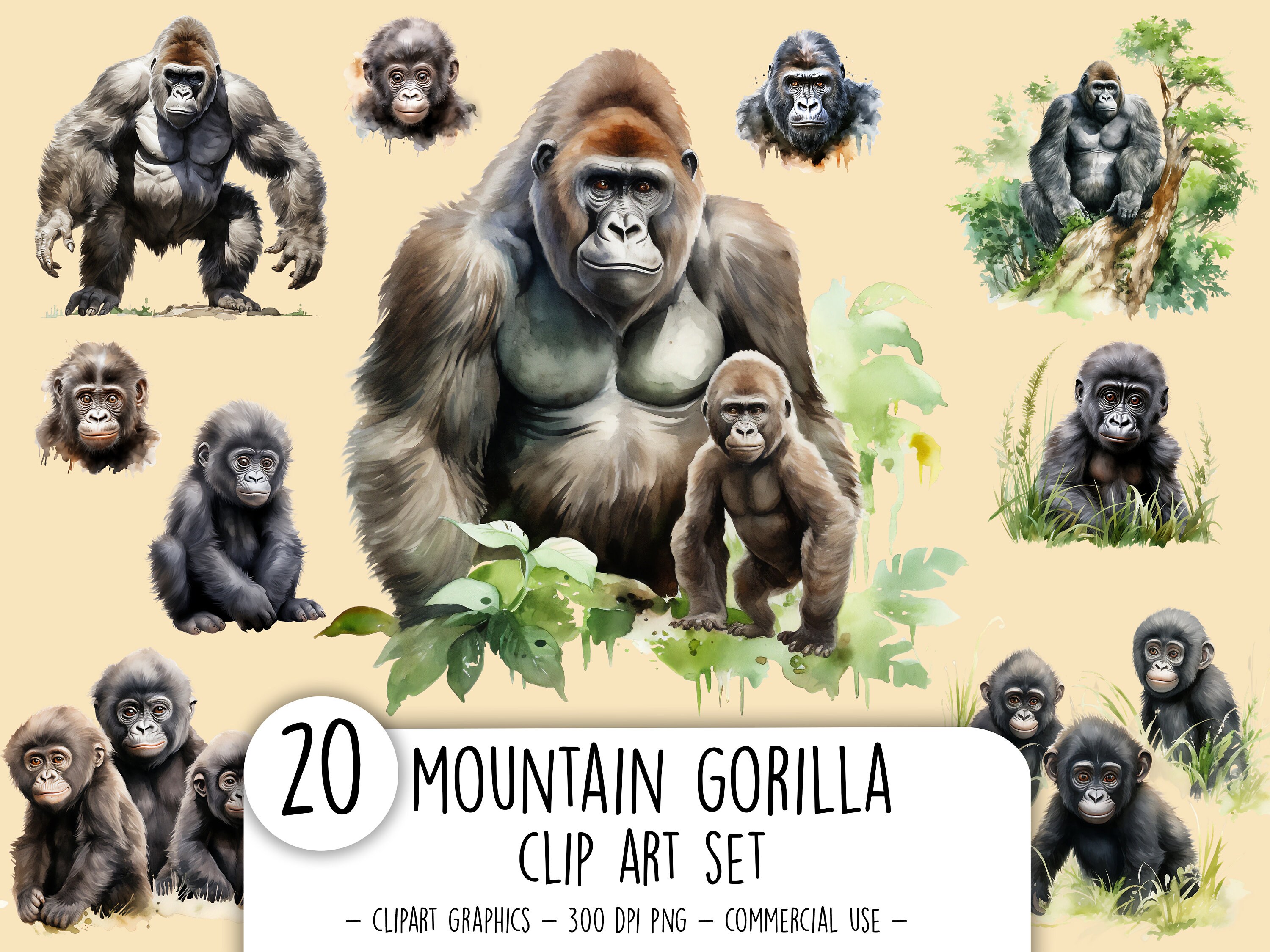 Watercolor Mountain Gorilla Clipart Bundle Commercially FREE Exotic Animals Clipart Gorilla Png ...