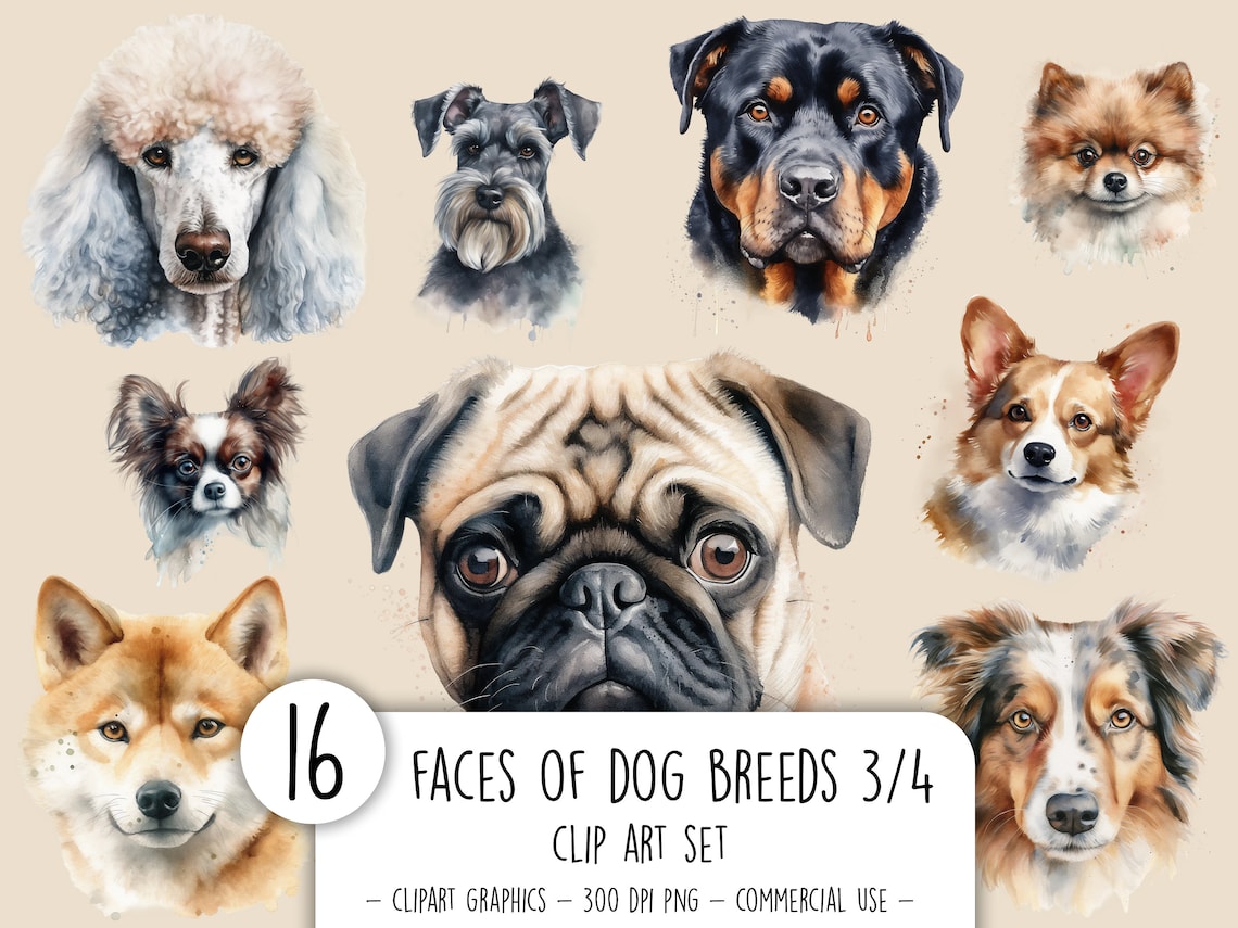 Faces of Dog Breeds Digital Printable Dog Breeds Clip Art FREE ...