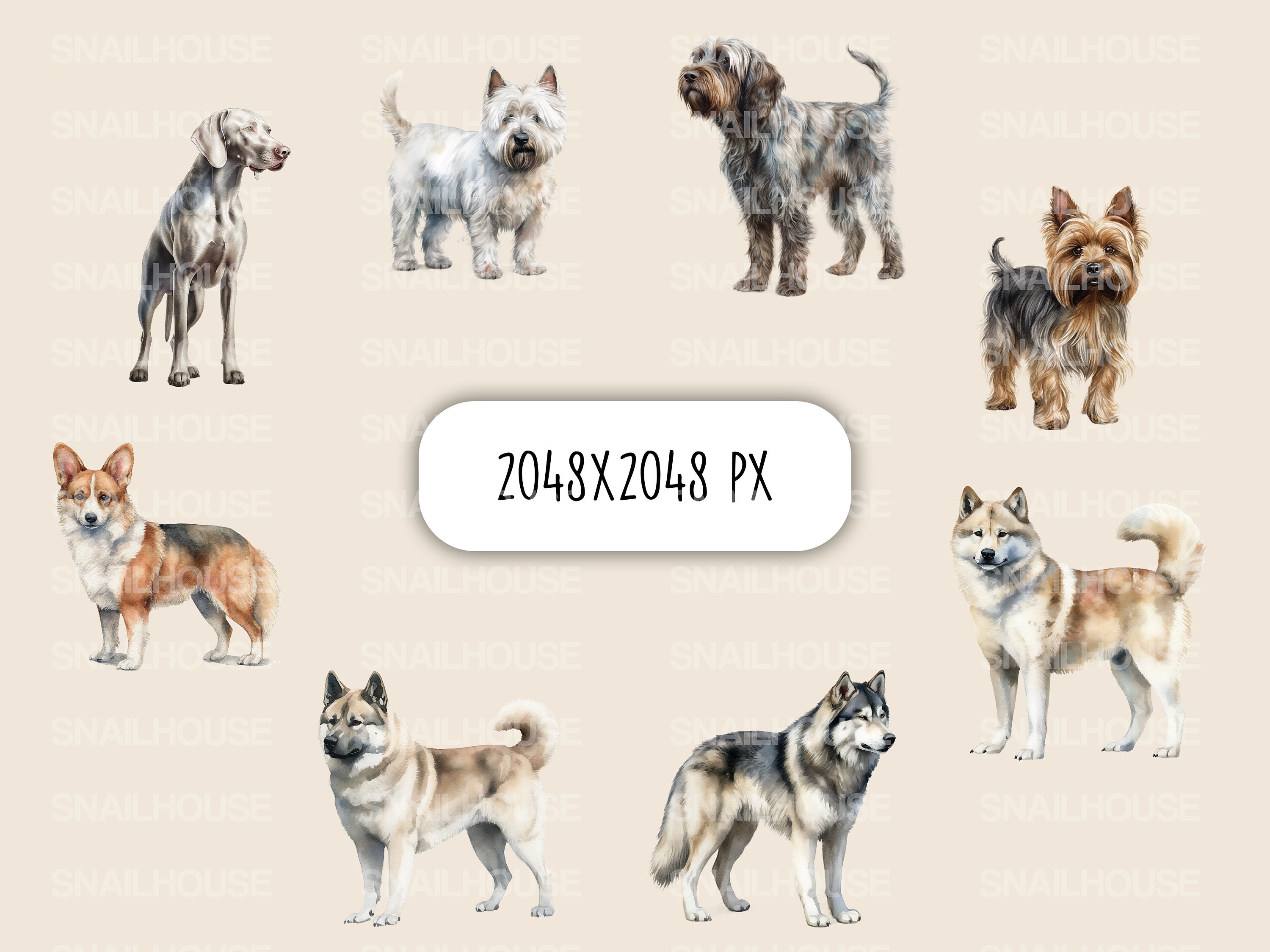 Dog Breeds Digital Clip Art Dog Breeds Clipart Set Dog Breeds Printable ...