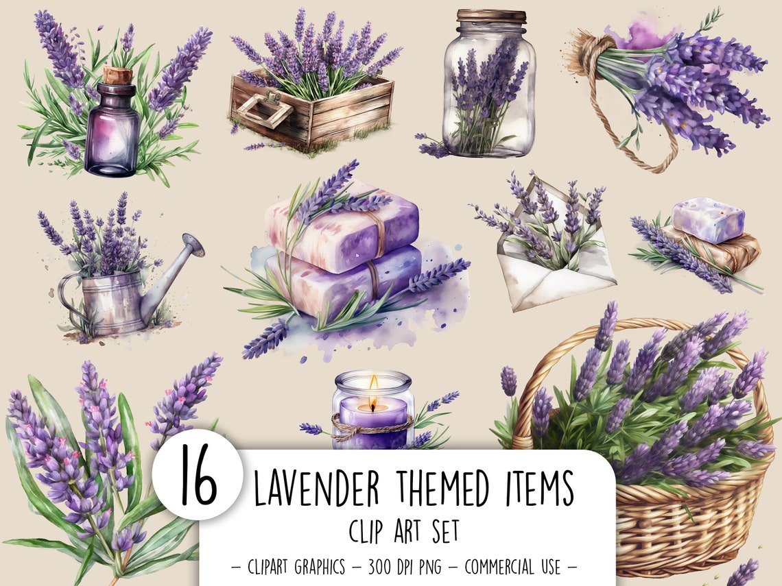 Lavender Clipart Watercolor Lavender Clip Art Bundle Digital Lavender ...