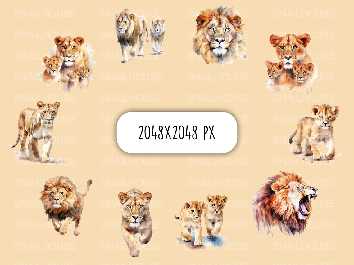 Watercolor Lion Lioness and Lion Cubs Clipart Lion Graphics Lion ...