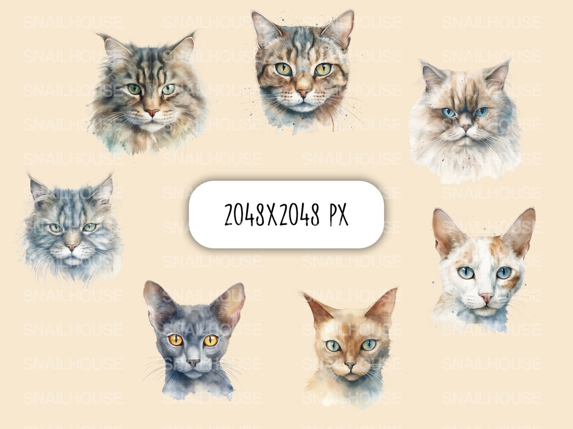 Watercolor Cat Clipart Digital Printable Cat Breeds Clipart FREE ...