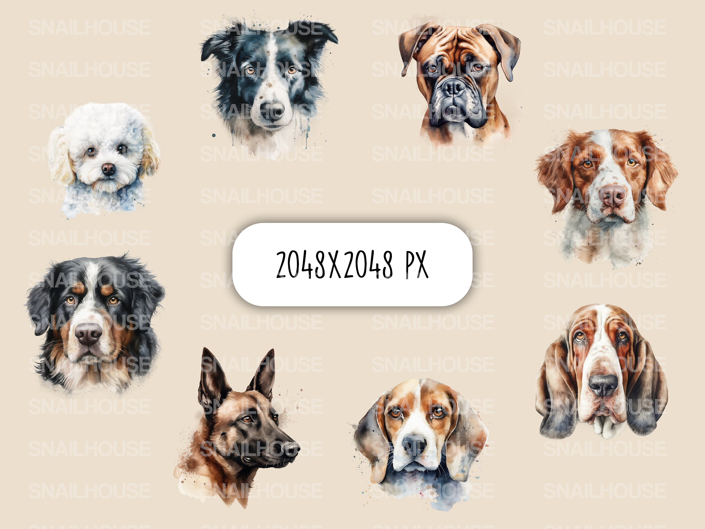 Faces of a Dog Breeds Digital Printable Dog Breeds Clip Art FREE ...
