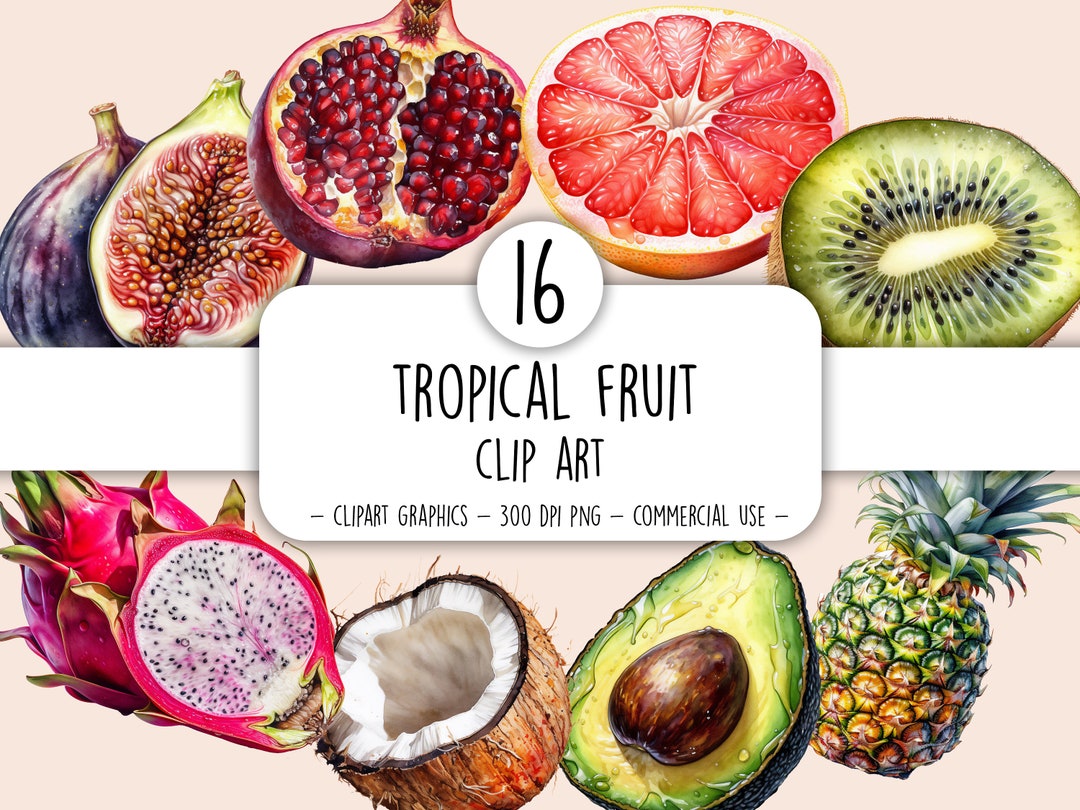 Watercolor Summer Fruit Clipart Digital Fruit Clipart FREE Commercial ...