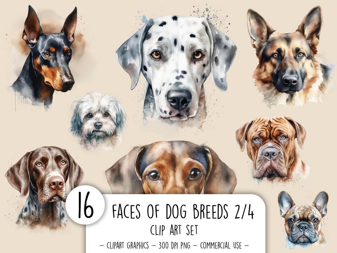 Faces of Dog Breeds Digital Printable Dog Breeds Clip Art FREE ...