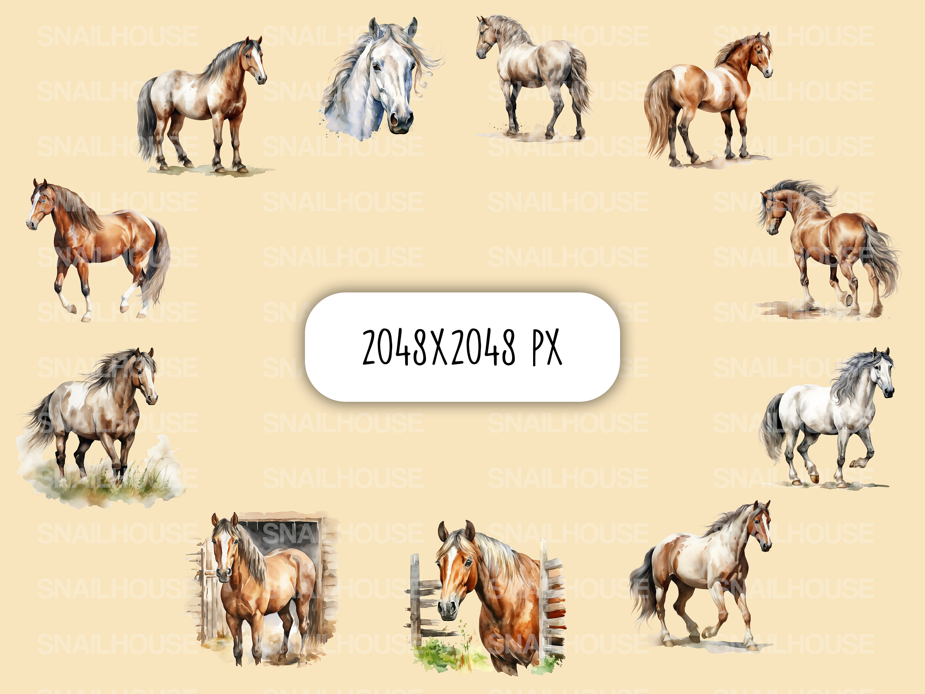 Watercolor Horse Clipart Bundle FREE Commercial Use Digital Horse Clip ...