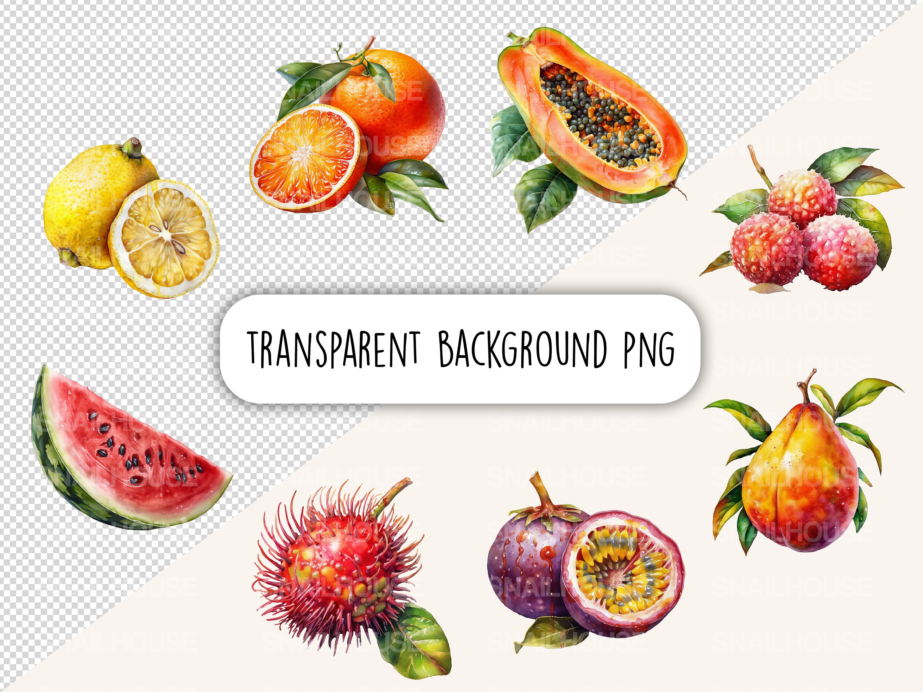 Watercolor Summer Fruit Clipart Digital Fruit Clipart FREE Commercial ...