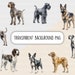 Dog Breeds Digital Clip Art Dog Breeds Clipart Set Dog Breeds Printable ...