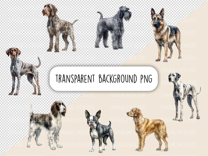 Dog Breeds Digital Clip Art Dog Breeds Clipart Set Dog Breeds Printable ...
