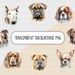 Faces of a Dog Breeds Digital Printable Dog Breeds Clip Art FREE ...