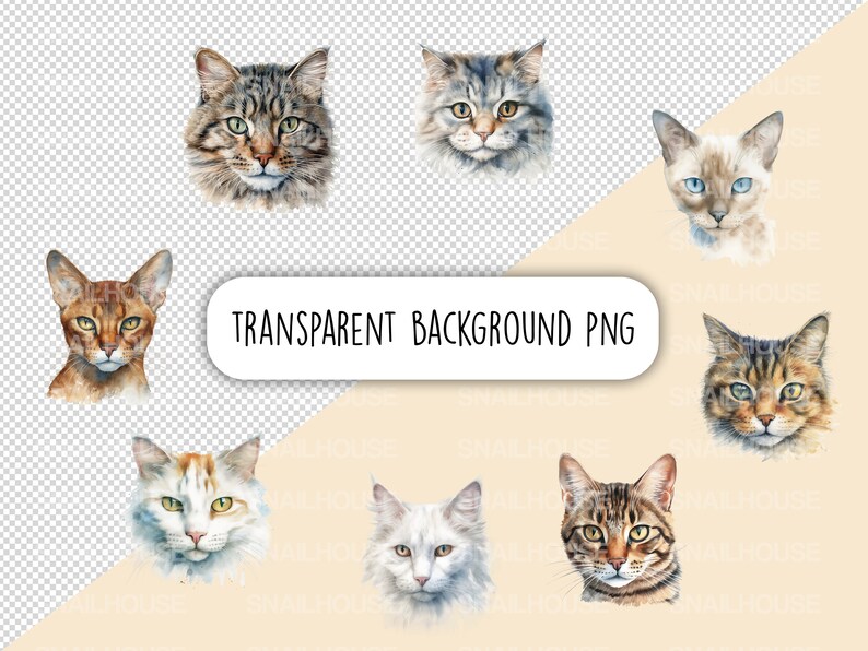 Watercolor Cat Clipart Digital Printable Cat Breeds Clipart FREE ...