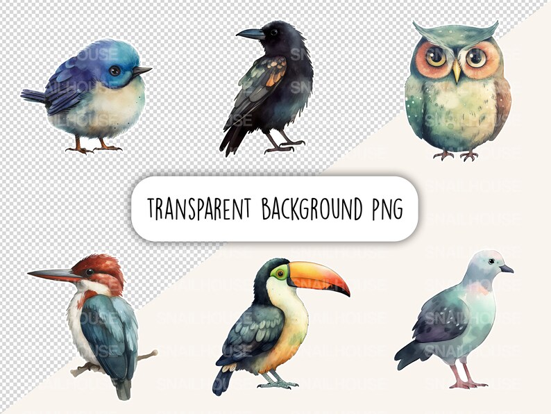 Bird Digital Stickers Birds Printable Stickers Bird Scrapbook Stickers ...