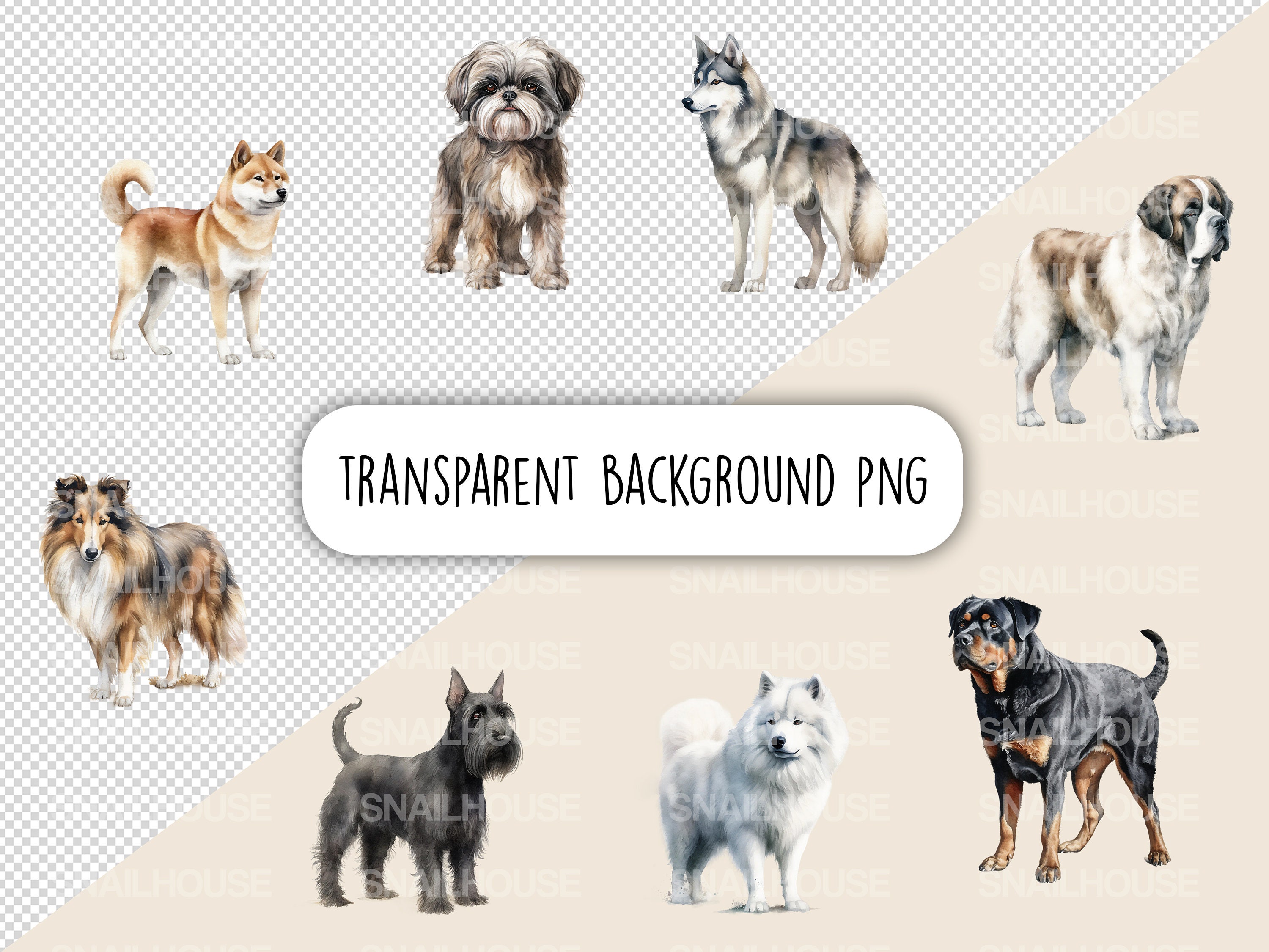 Dog Breeds Digital Clip Art Dog Breeds Clipart Set Dog Breeds Printable ...