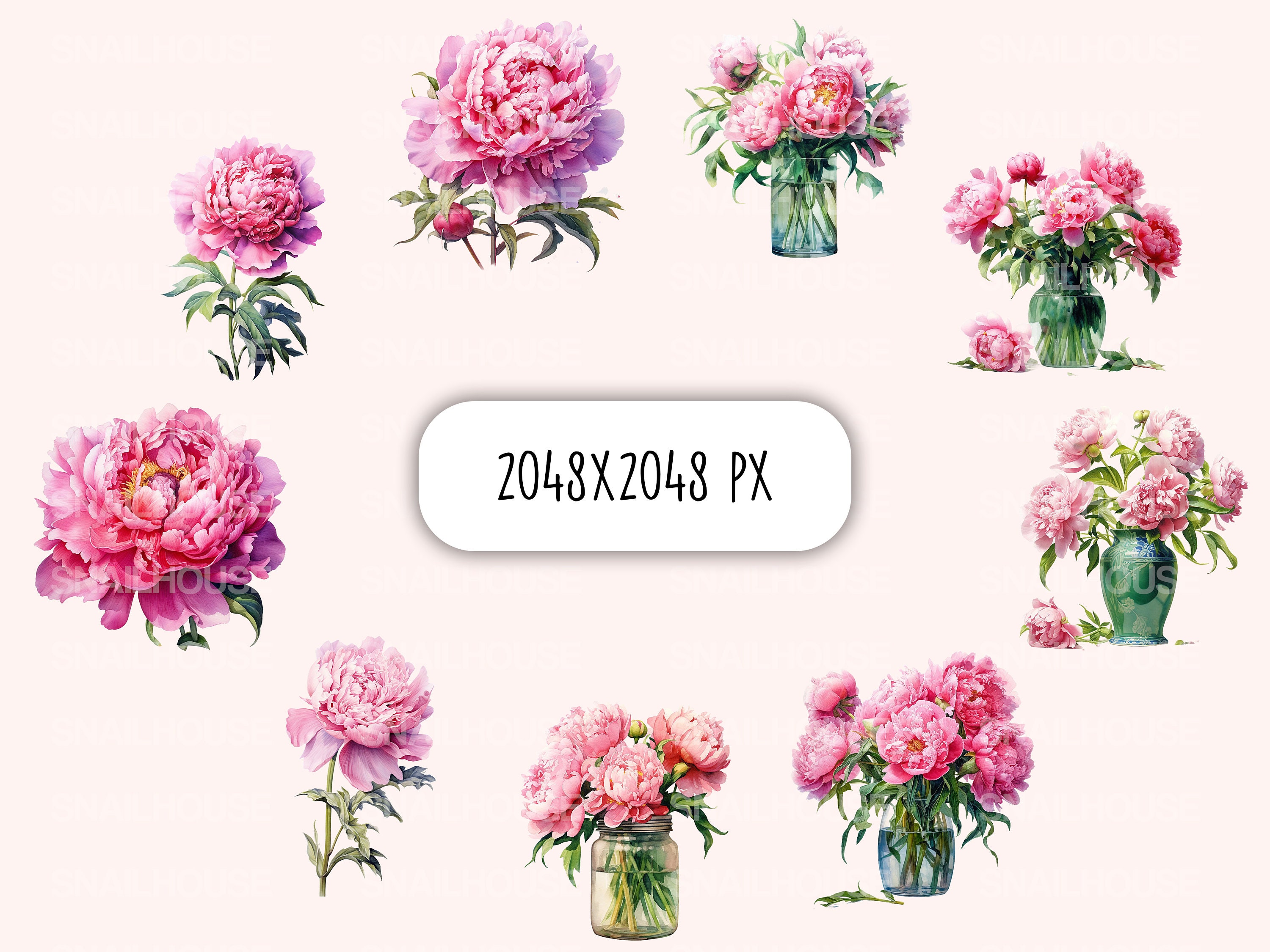 Watercolor Pink Peony Flowers Clip Art Set Digital Printable Peony ...