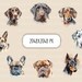 Faces of Dog Breeds Digital Printable Dog Breeds Clip Art FREE ...