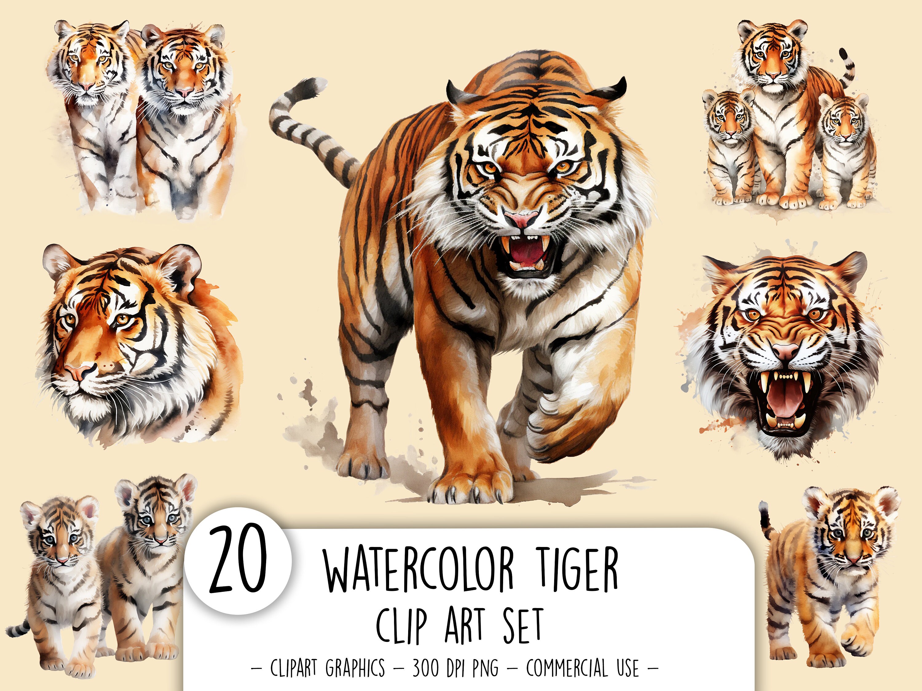 Watercolor Tiger Clipart Bundle Tiger Clip Art FREE Commercial Use ...