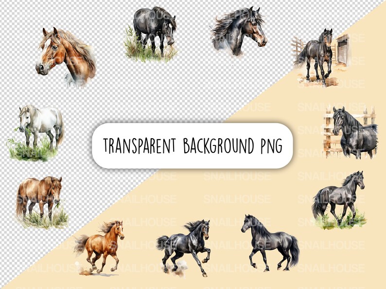 Watercolor Horse Clipart Bundle FREE Commercial Use Digital Horse Clip ...