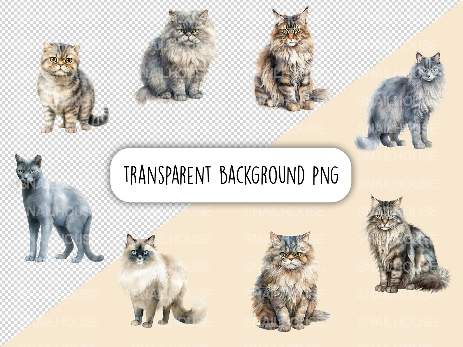Watercolor Cat Clipart Digital Printable Cat Breeds Clipart FREE ...