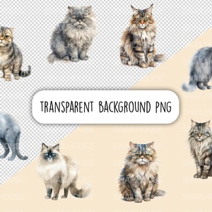 Watercolor Cat Clipart Digital Printable Cat Breeds Clipart FREE ...