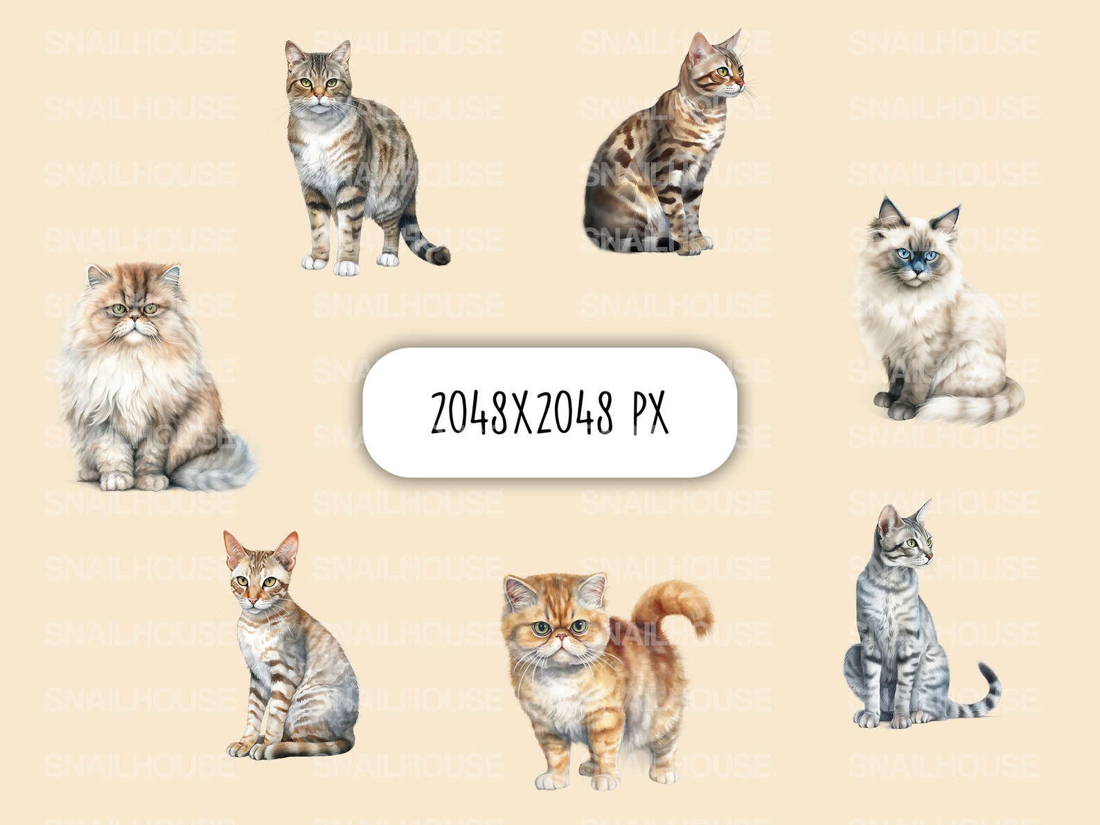 Watercolor Cat Clipart Digital Printable Cat Breeds Clipart - Etsy