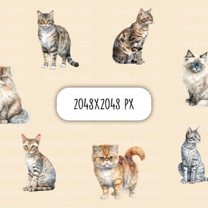 Watercolor Cat Clipart Digital Printable Cat Breeds Clipart FREE ...