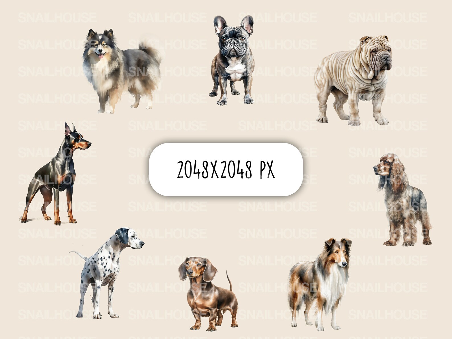 Dog Breeds Digital Clip Art Dog Breeds Clipart Set Dog Breeds Printable ...