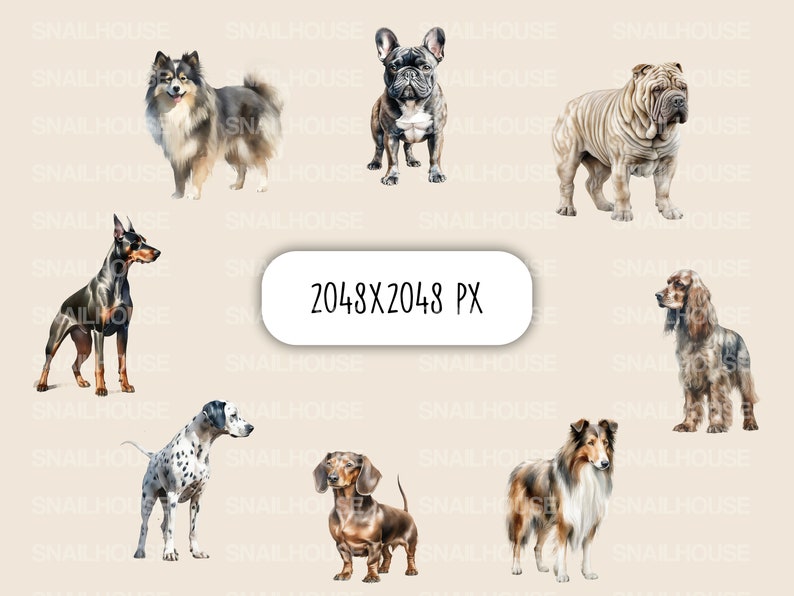 Dog Breeds Digital Clip Art Dog Breeds Clipart Set Dog Breeds Printable ...