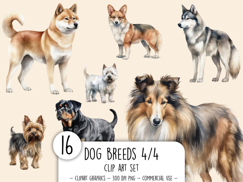 Dog Breeds Digital Clip Art Dog Breeds Clipart Set Dog Breeds Printable ...