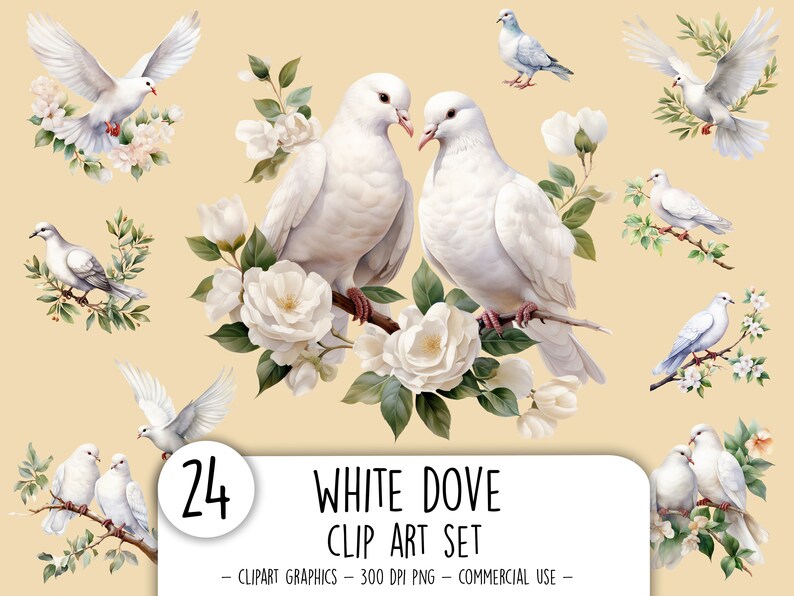 Watercolor White Doves Clipart Bundle FREE Commercial Use Digital White ...
