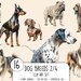Dog Breeds Digital Clip Art Dog Breeds Clipart Set Dog Breeds Printable ...