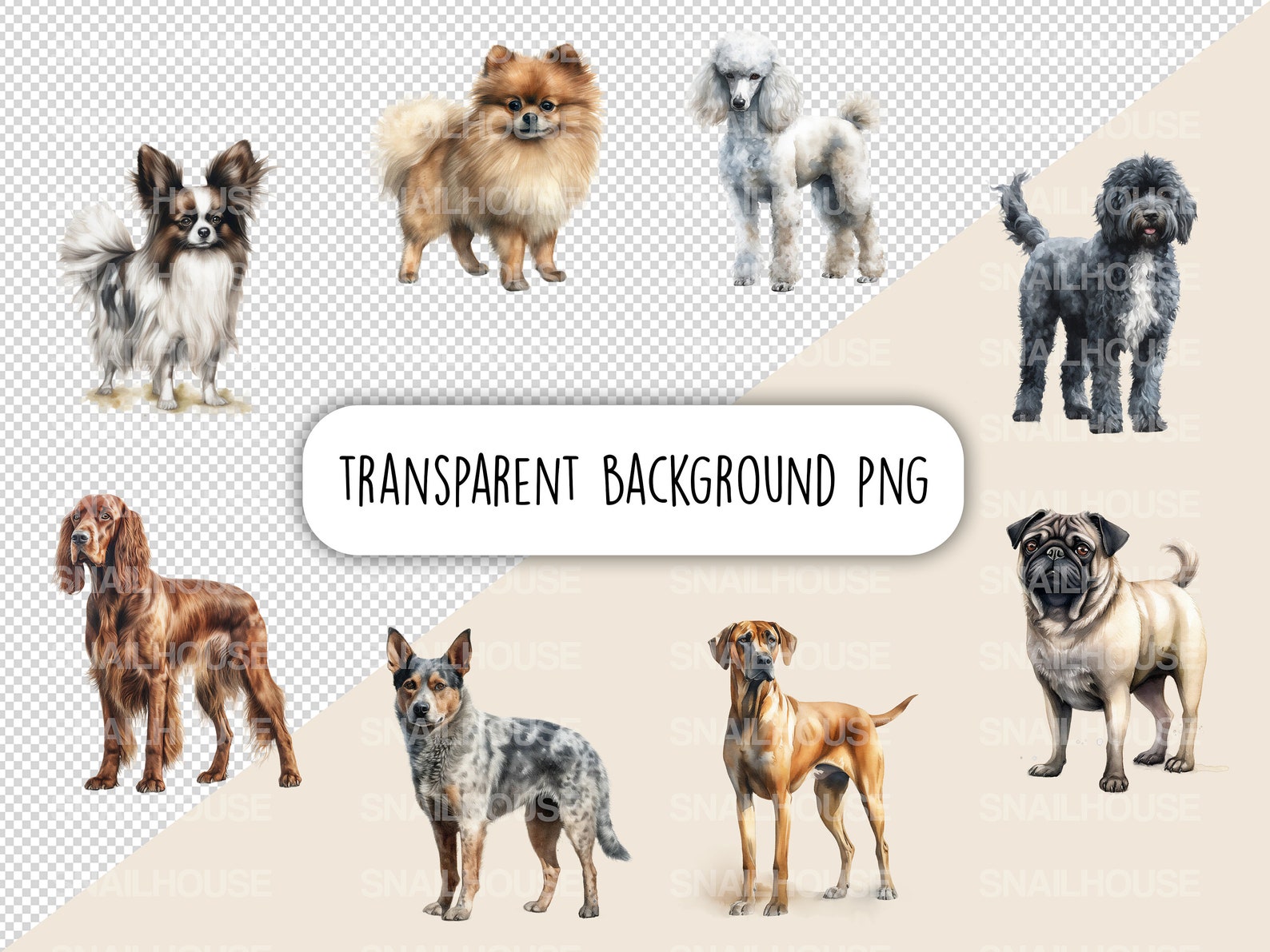 Dog Breeds Digital Clip Art Dog Breeds Clipart Set Dog Breeds Printable ...