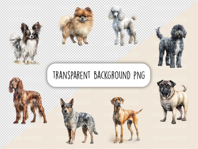 Dog Breeds Digital Clip Art Dog Breeds Clipart Set Dog Breeds Printable ...