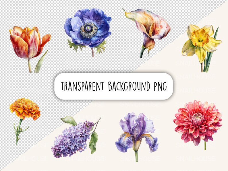 Watercolor Flowers Clip Art Printable Flower Graphics FREE Commercial ...