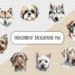 Faces of Dog Breeds Digital Printable Dog Breeds Clip Art FREE ...