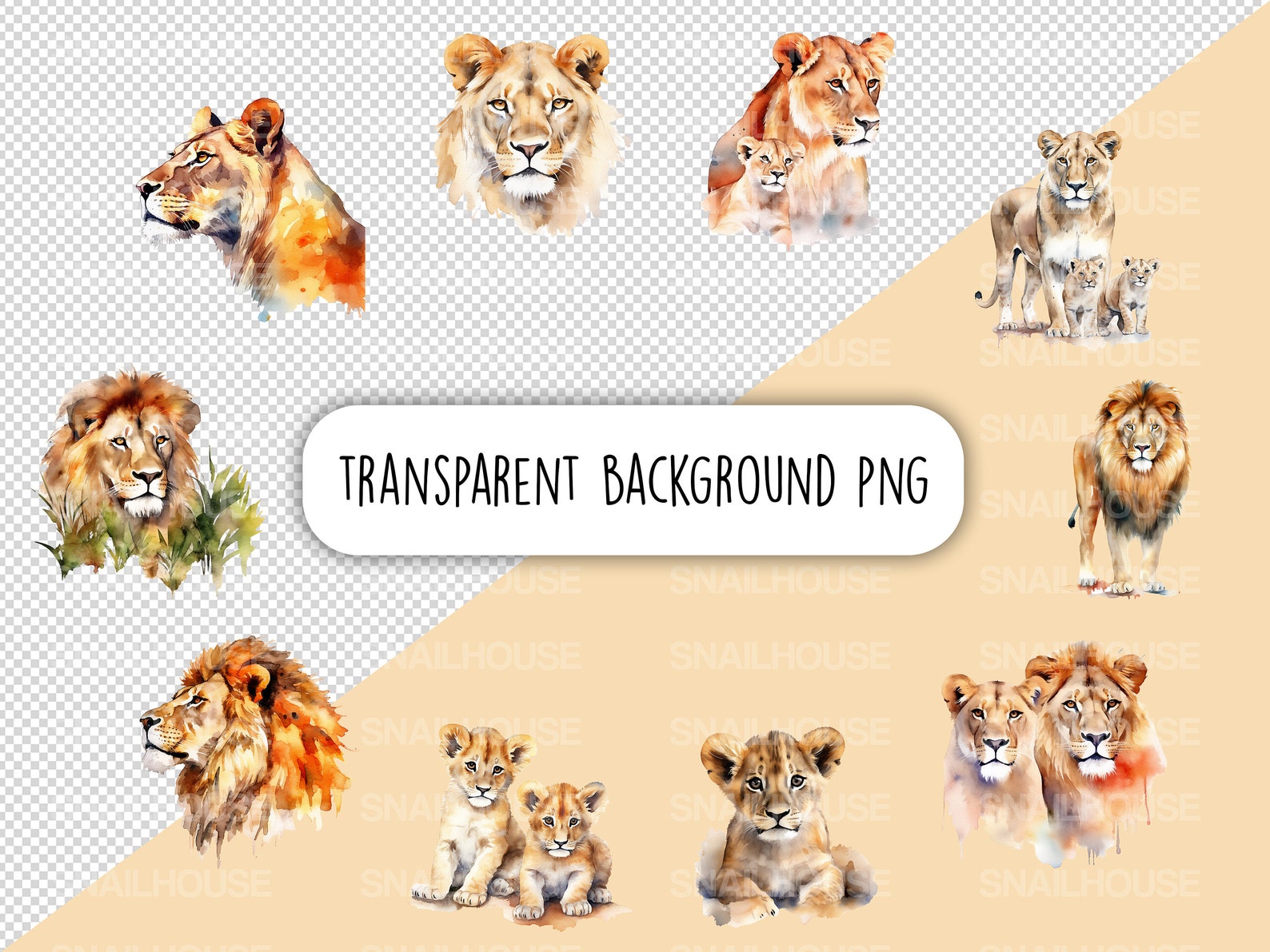 Watercolor Lion Lioness and Lion Cubs Clipart Lion Graphics Lion ...