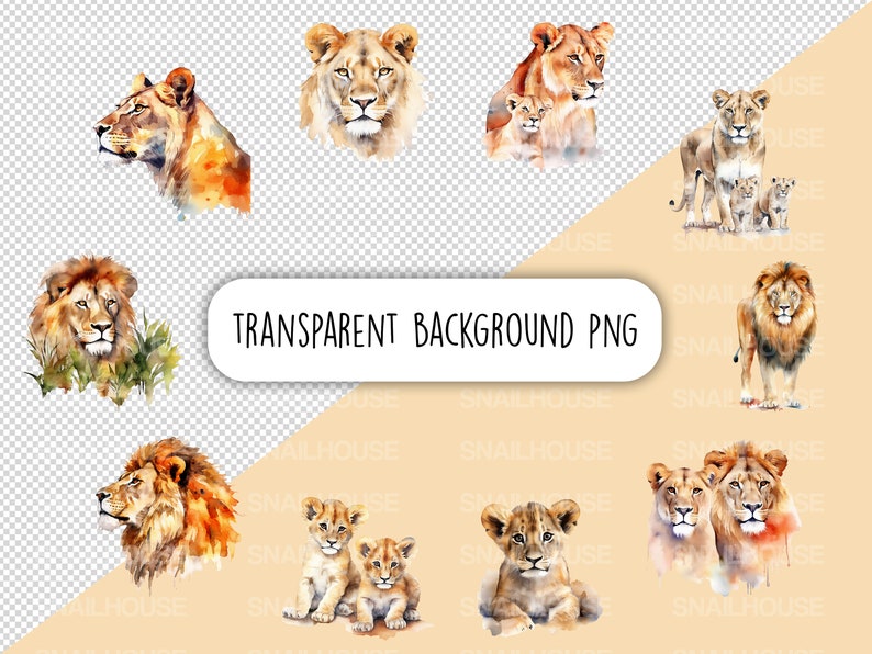 Watercolor Lion Lioness and Lion Cubs Clipart Lion Graphics Lion ...