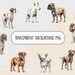 Dog Breeds Digital Clip Art Dog Breeds Clipart Set Dog Breeds Printable ...