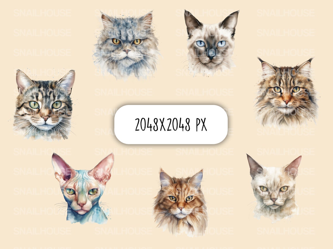 Watercolor Cat Clipart Digital Printable Cat Breeds Clipart FREE ...