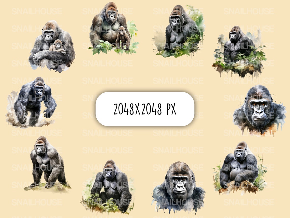 Watercolor Mountain Gorilla Clipart Bundle Commercially FREE Exotic Animals Clipart Gorilla Png ...