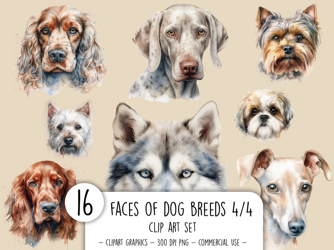 Faces of Dog Breeds Digital Printable Dog Breeds Clip Art FREE ...