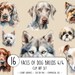 Faces of Dog Breeds Digital Printable Dog Breeds Clip Art FREE ...