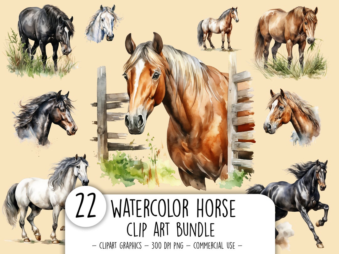 Watercolor Horse Clipart Bundle FREE Commercial Use Digital Horse Clip ...