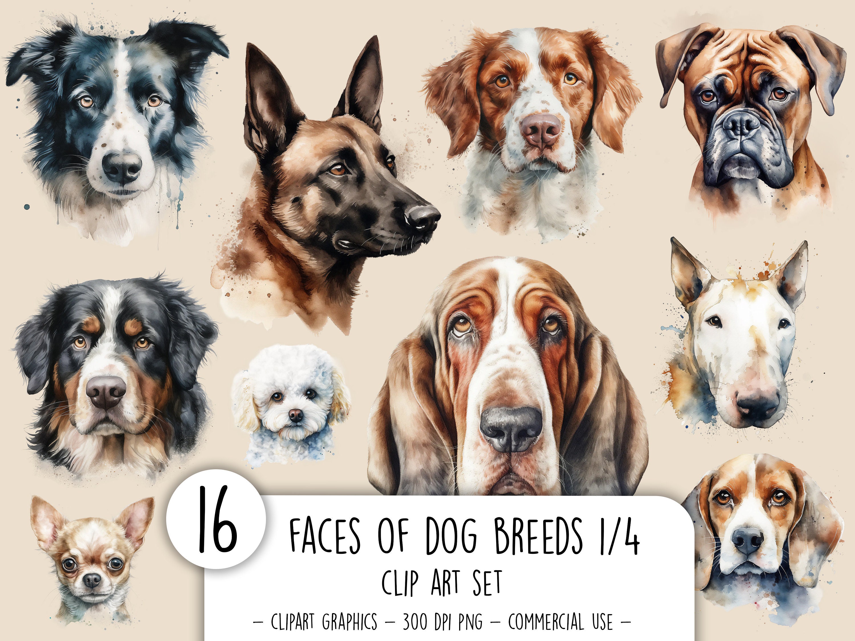 Faces of a Dog Breeds Digital Printable Dog Breeds Clip Art FREE ...