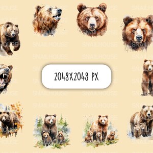 Watercolor Bear Clipart Bundle Brown Bear Clip Art FREE Commercial Use ...