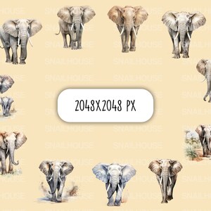 Watercolor Elephant Clipart Bundle Commercially FREE African Animal ...
