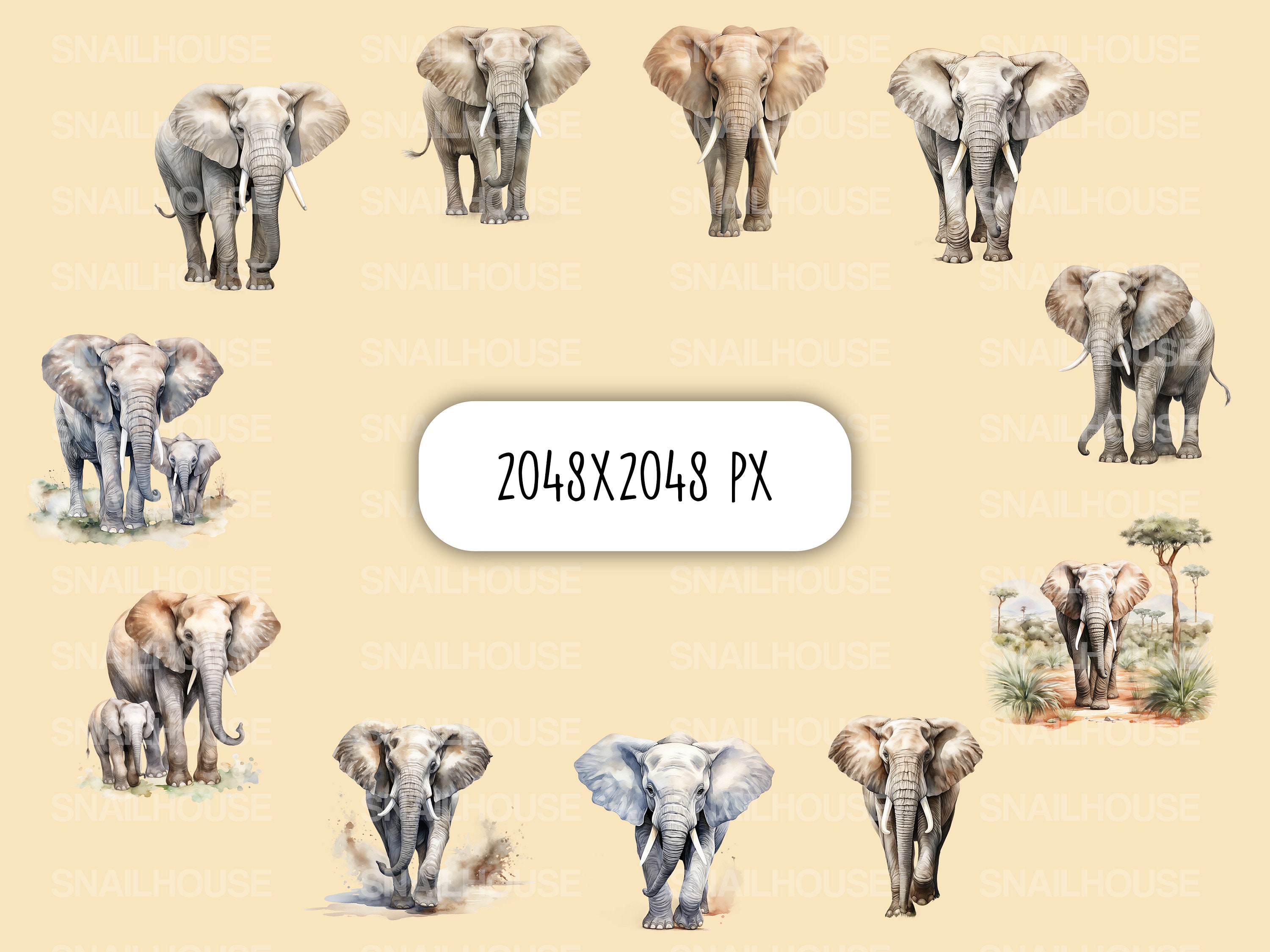 Watercolor Elephant Clipart Bundle Commercially FREE African Animal ...