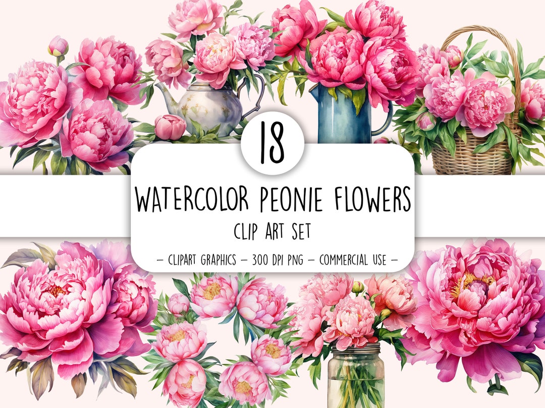 Watercolor Pink Peony Flowers Clip Art Set Digital Printable Peony ...