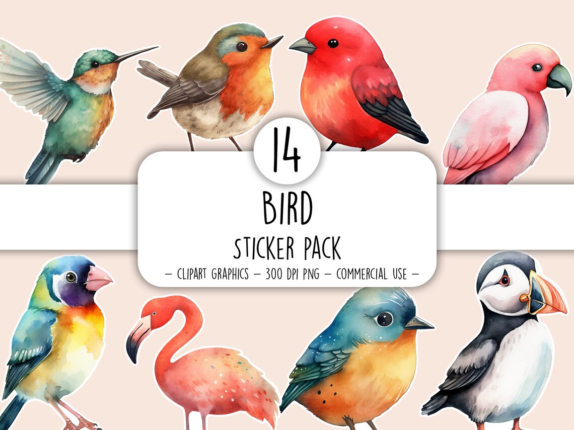 Bird Digital Stickers Birds Printable Stickers Bird Scrapbook - Etsy